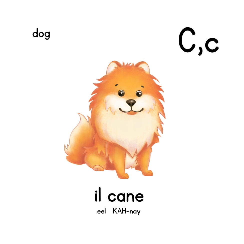 Alfabeto Animale - Animal Alphabet - Bilingual – Italian Children's Market