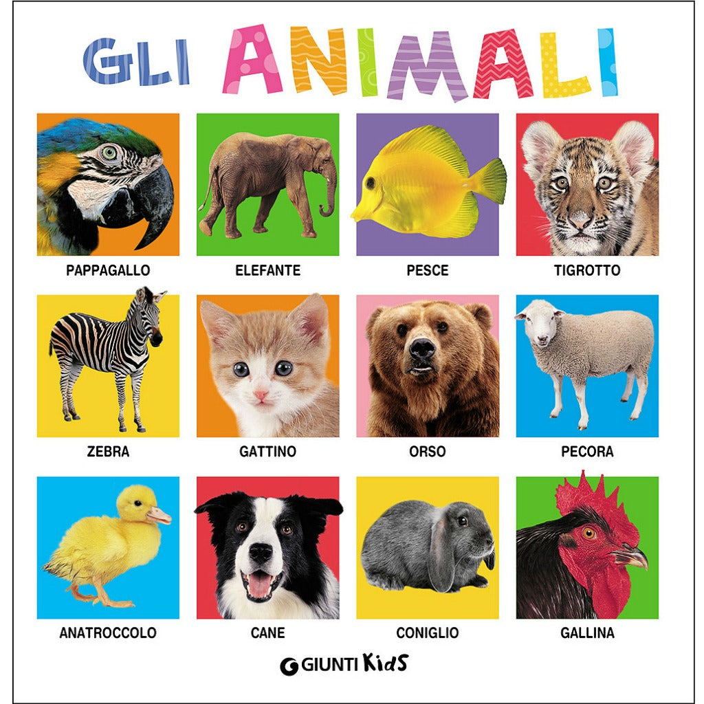 Collections – Italian Children's Market